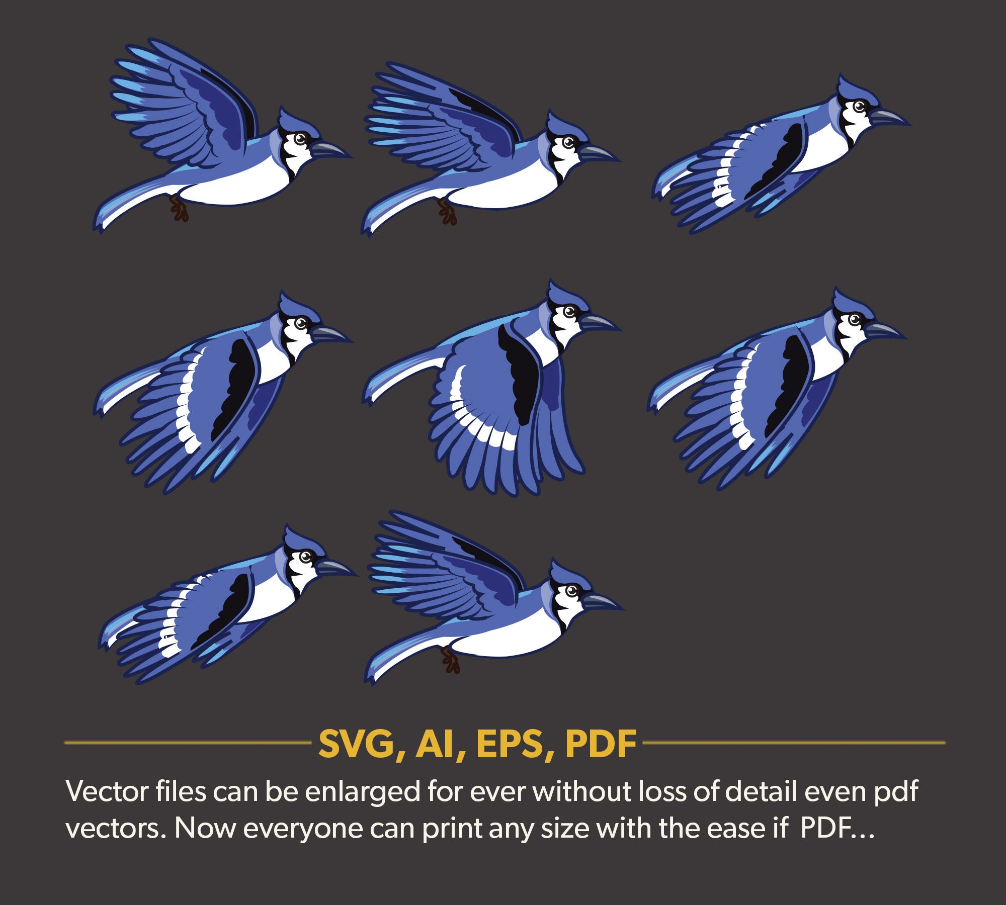 Flying Blue Bird Set, Blue Jay Flying Sprite, Ai/eps/pdf/svg Printable ...