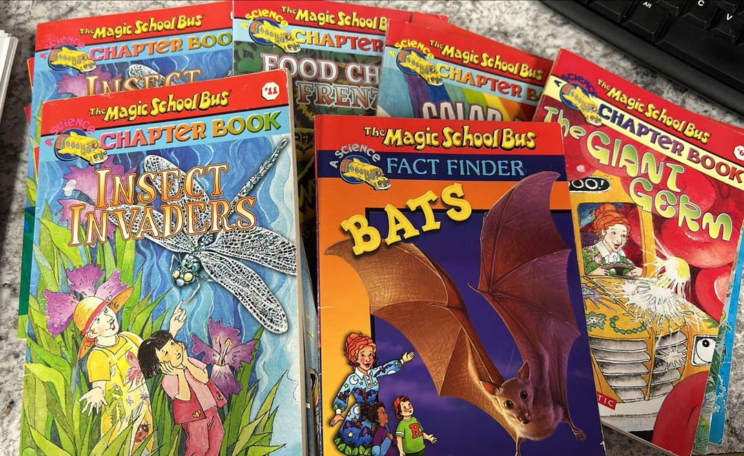 Magic School House Chapter Books CHOOSE YOUR TITLE - Etsy