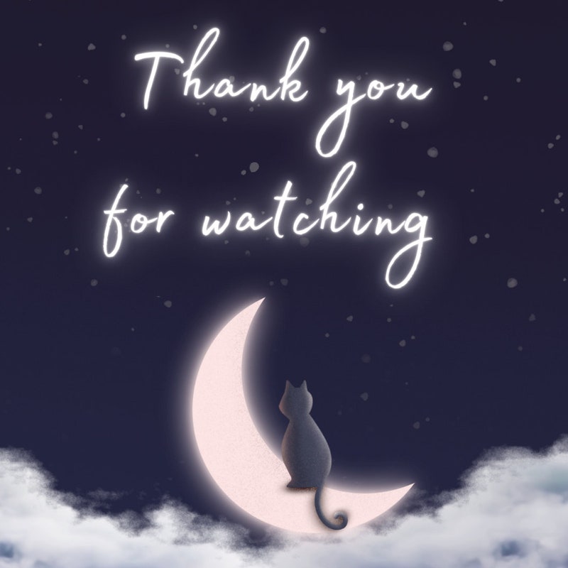 Cat Youtube Banner - Etsy