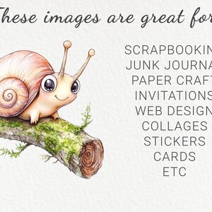 Snail Watercolor Clipart - 24 PNG Cute Snail Clip Art, Nature Clipart ...