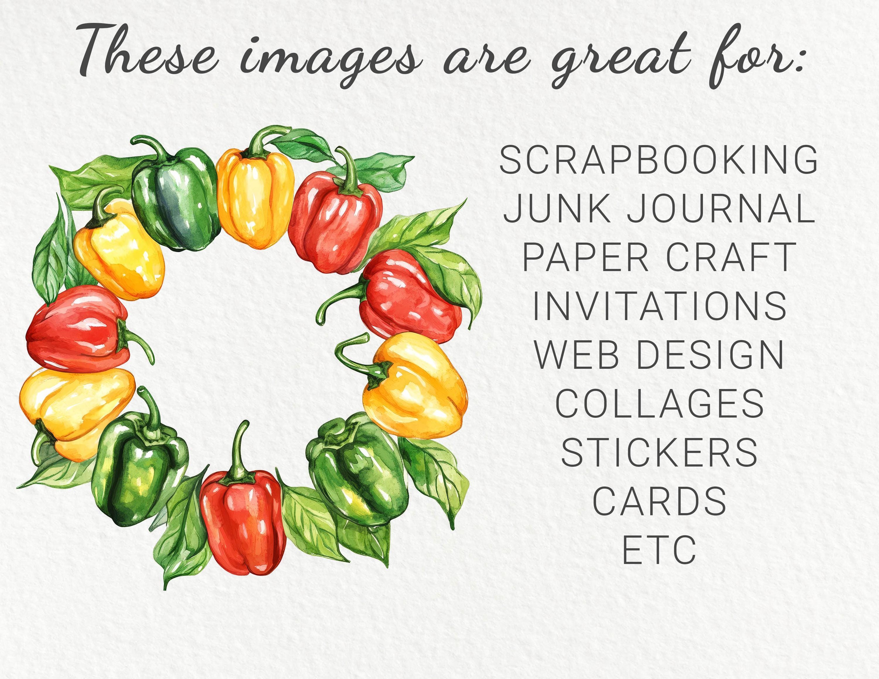 Bell Pepper Watercolor Clipart - 24 PNG Funny Pepper Illustration, Cool ...