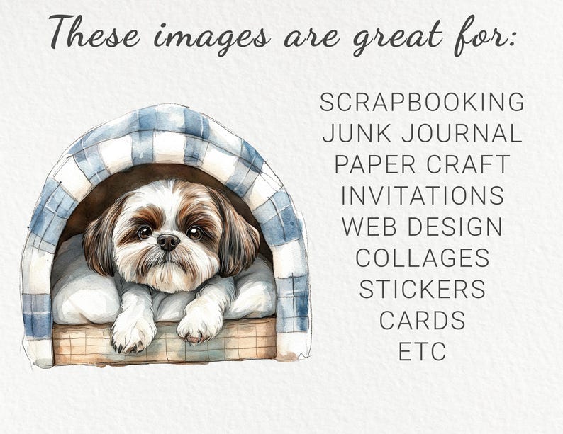 Shih Tzu Watercolor Clipart - 24 PNG Cute Dog Clip Art, Dog Breeds Clip ...