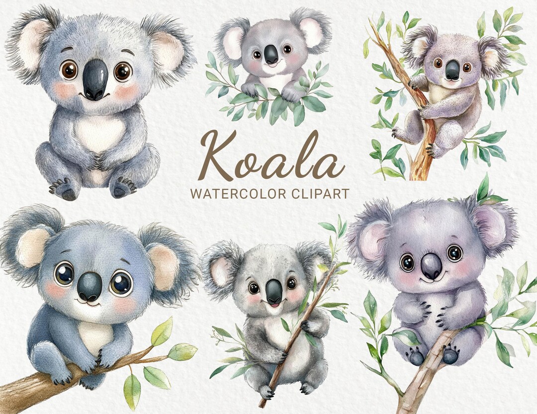 Koala Nursery Watercolor Clipart - 24 PNG Cute Koala Bear, Animals ...
