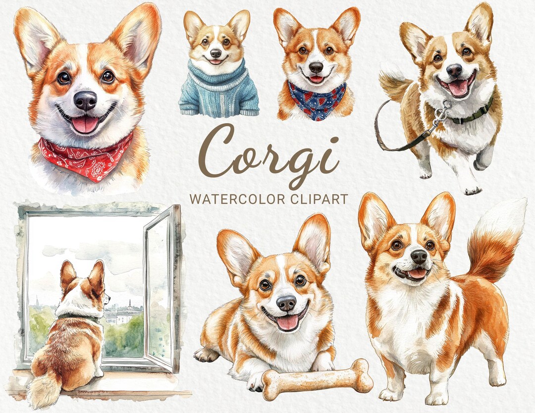 Corgi Watercolor Clipart - 24 PNG Cute Dog Clip Art, Dog Breeds Clip ...