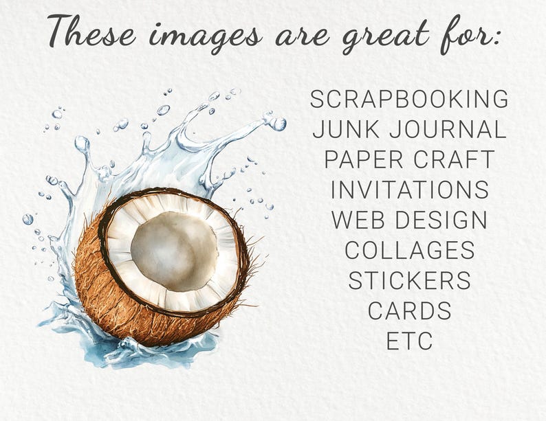 Coconut Watercolor Clipart - 24 PNG Funny Coconut Images, Illustration ...
