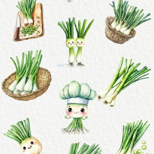 Green Onions Watercolor Clipart - 24 PNG Funny Onions Illustration ...