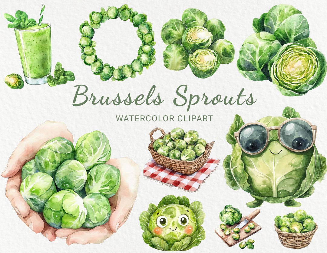 Brussel Sprouts Watercolor Clipart - 24 PNG Funny Veg Illustration, Cool Chibi Vegetables ...