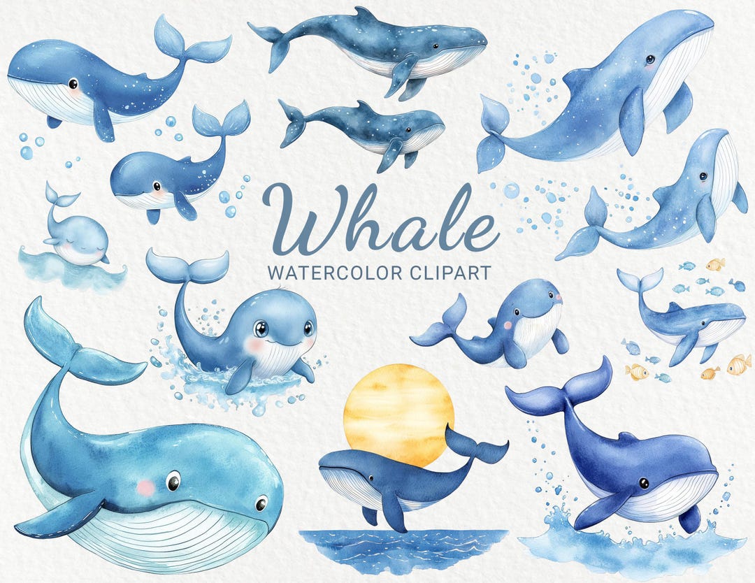 Whale Clipart - 24 PNG Cute Marine Decor Clip Art Nursery Watercolor ...