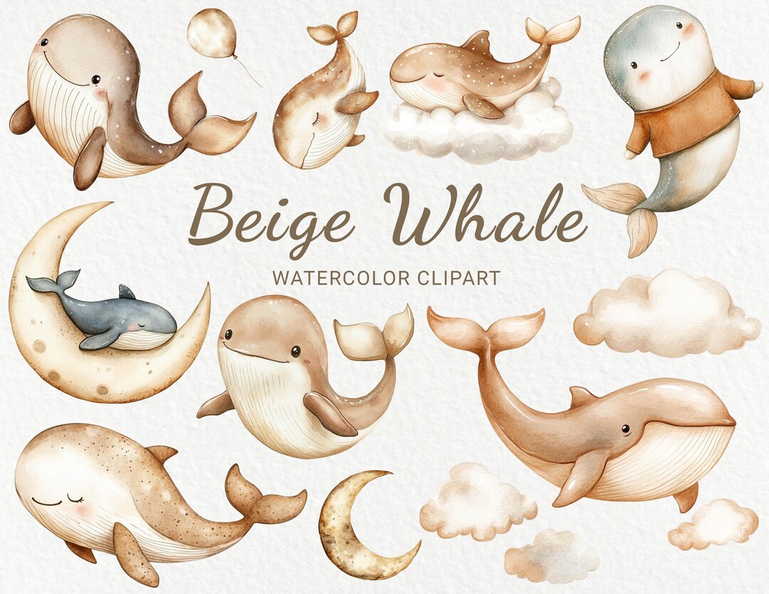 Whale Nursery Watercolor Clipart - 24 PNG Cute Marine Decor Clip Art in ...