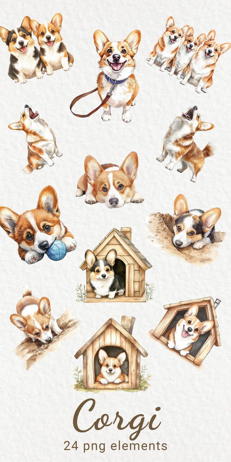 Corgi Watercolor Clipart - 24 PNG Cute Dog Clip Art, Dog Breeds Clip ...