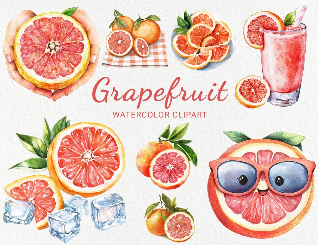 Grapefruit Watercolor Clipart - 24 PNG Funny Grapefruit Images, Cool ...