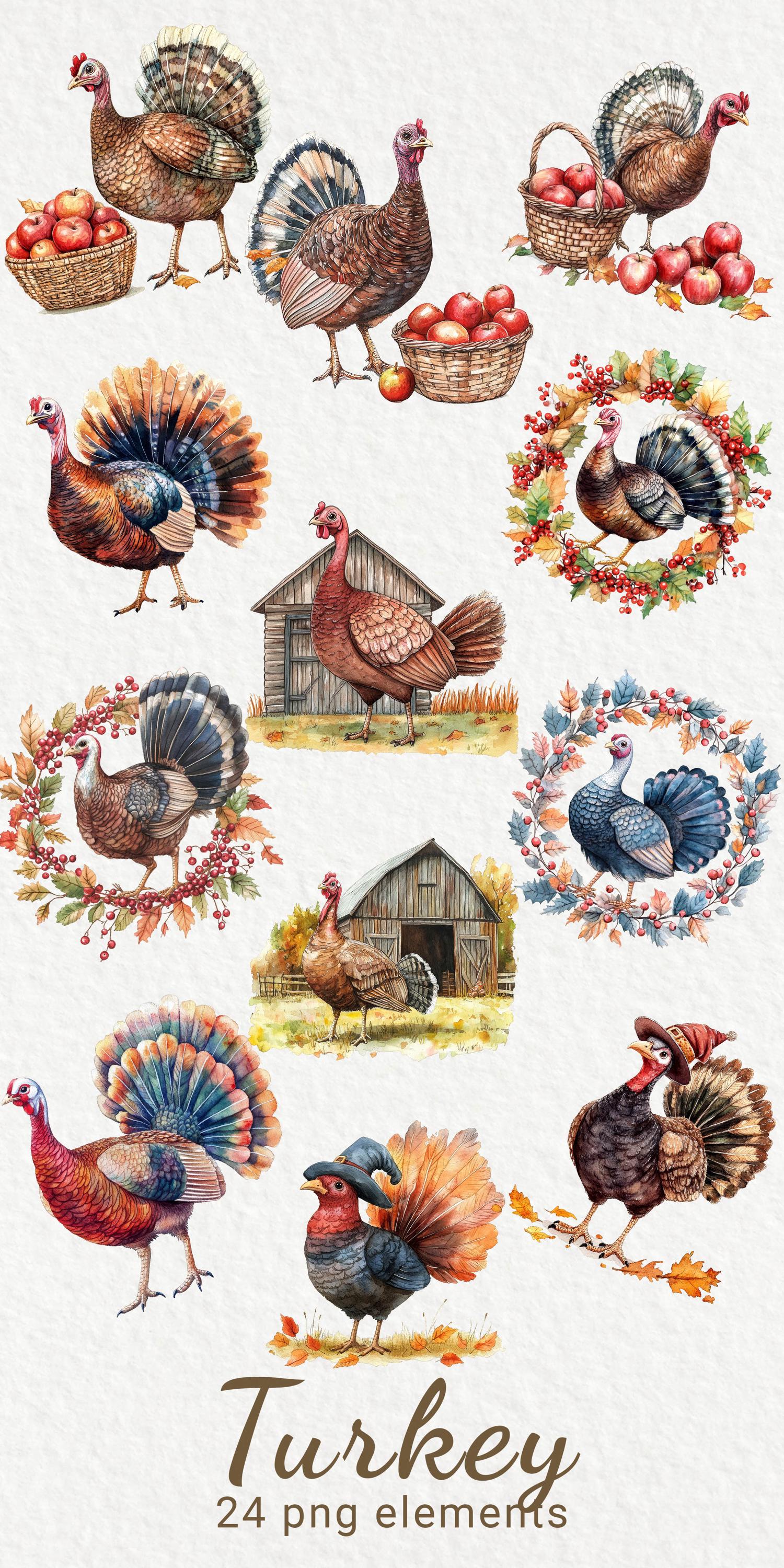 Turkey Watercolor Clipart - 24 PNG Cute Turkey Clip Art, Farm Birds ...