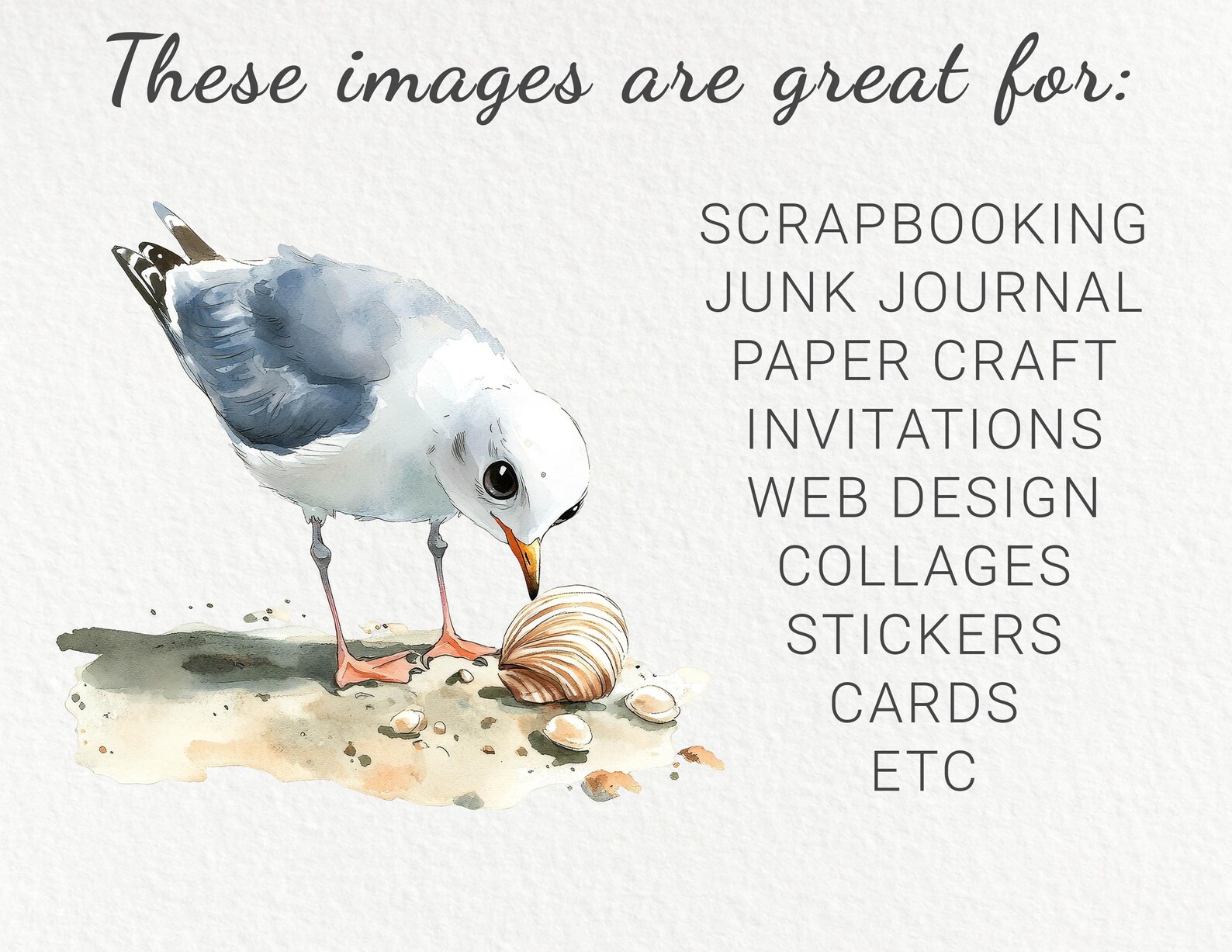 Seagull Watercolor Clipart - 24 PNG Seagull Clip Art, Sea Printable ...