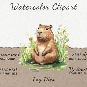 Capybara Watercolor Clipart - 24 PNG Cute Capybara Nursery Decor ...