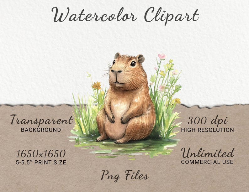 Capybara Watercolor Clipart - 24 PNG Cute Capybara Nursery Decor ...