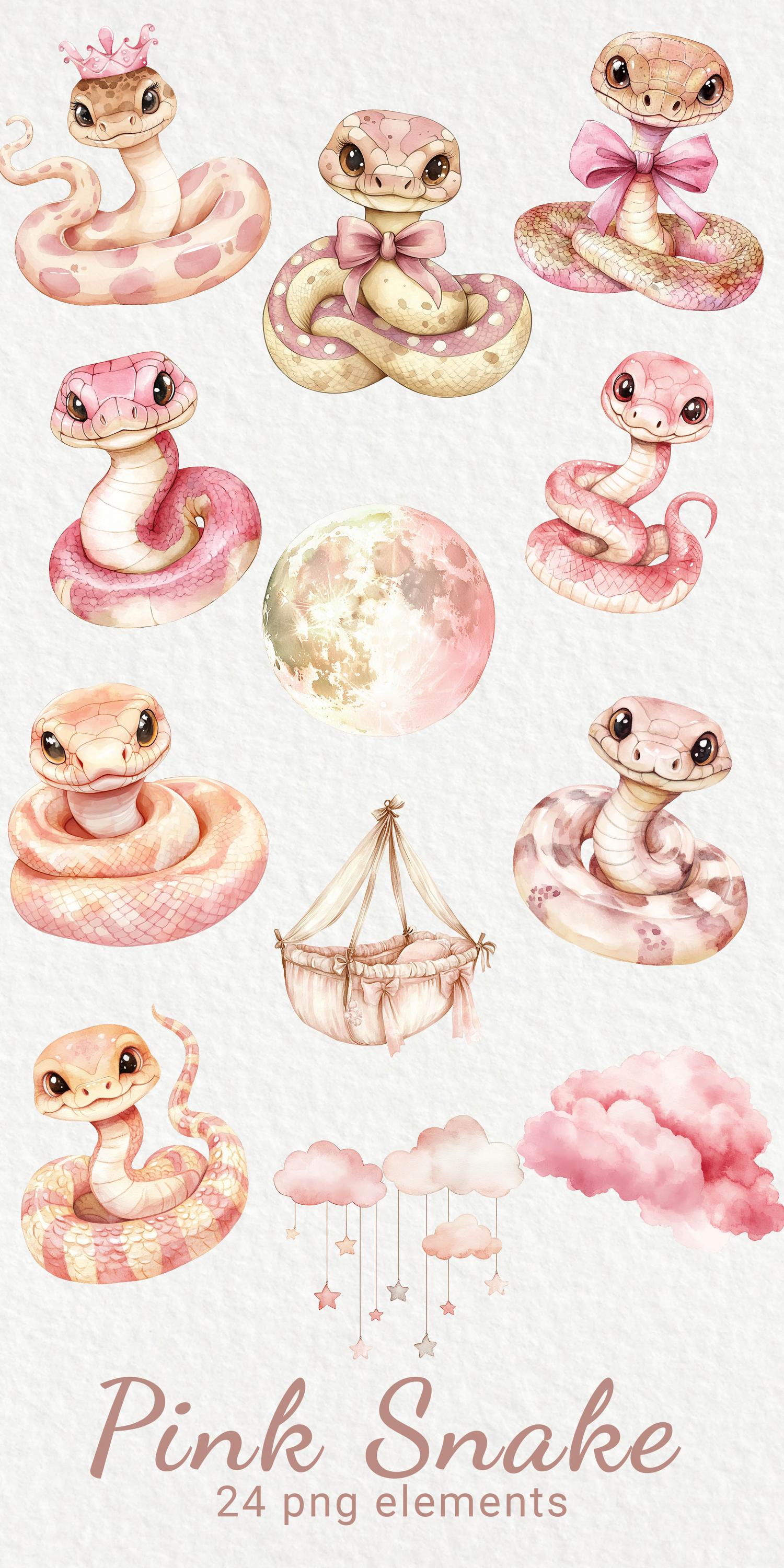 Pink Snake Nursery Watercolor Clipart - 24 PNG Cute Snake, Animals ...