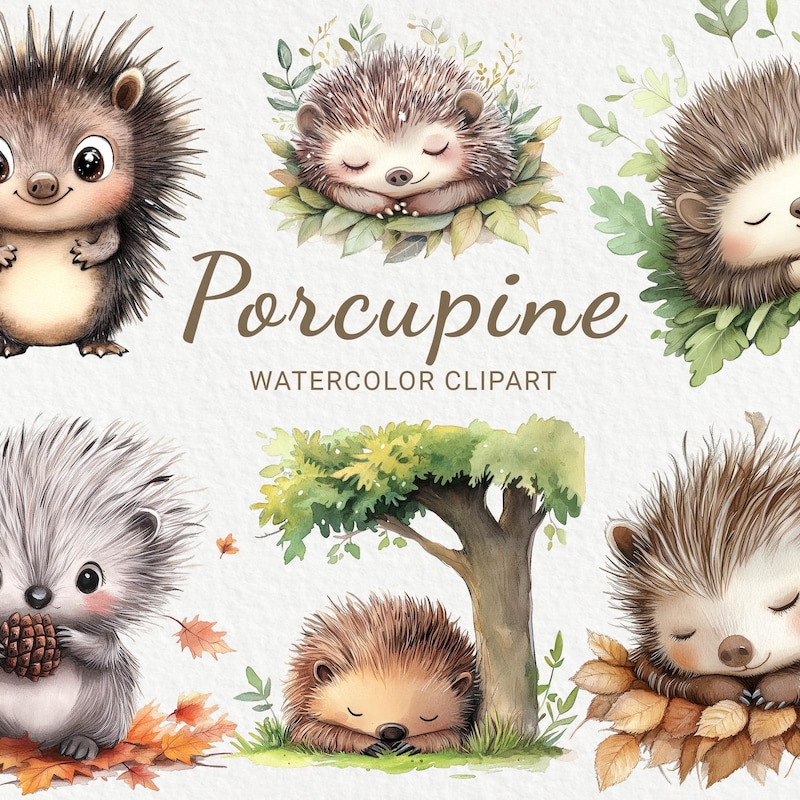 Porcupine Art - Etsy