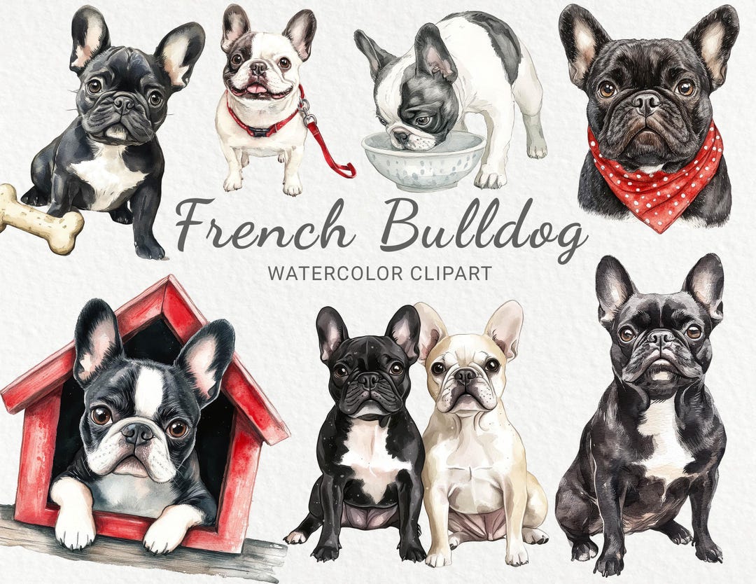 French Bulldog Watercolor Clipart - 24 PNG Cute Dog Clip Art, Dog ...