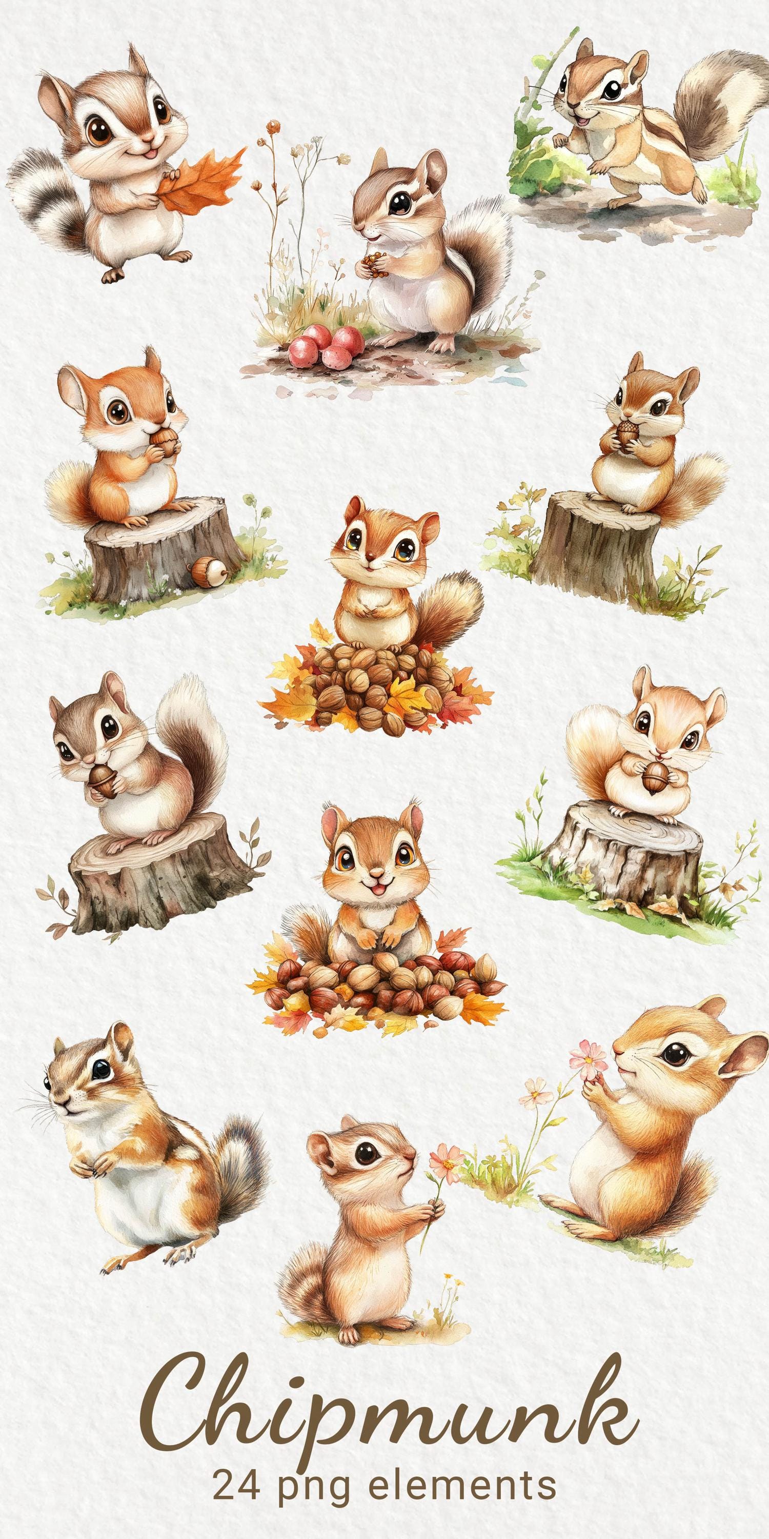 Chipmunk Clipart - 24 PNG Watercolor Baby Chipmunk Clip Art, Funny ...