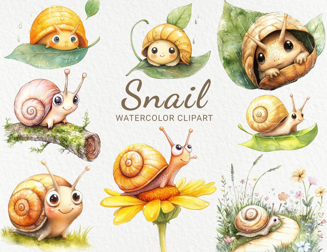 Snail Watercolor Clipart - 24 PNG Cute Snail Clip Art, Nature Clipart ...