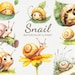 Snail Watercolor Clipart - 24 PNG Cute Snail Clip Art, Nature Clipart ...