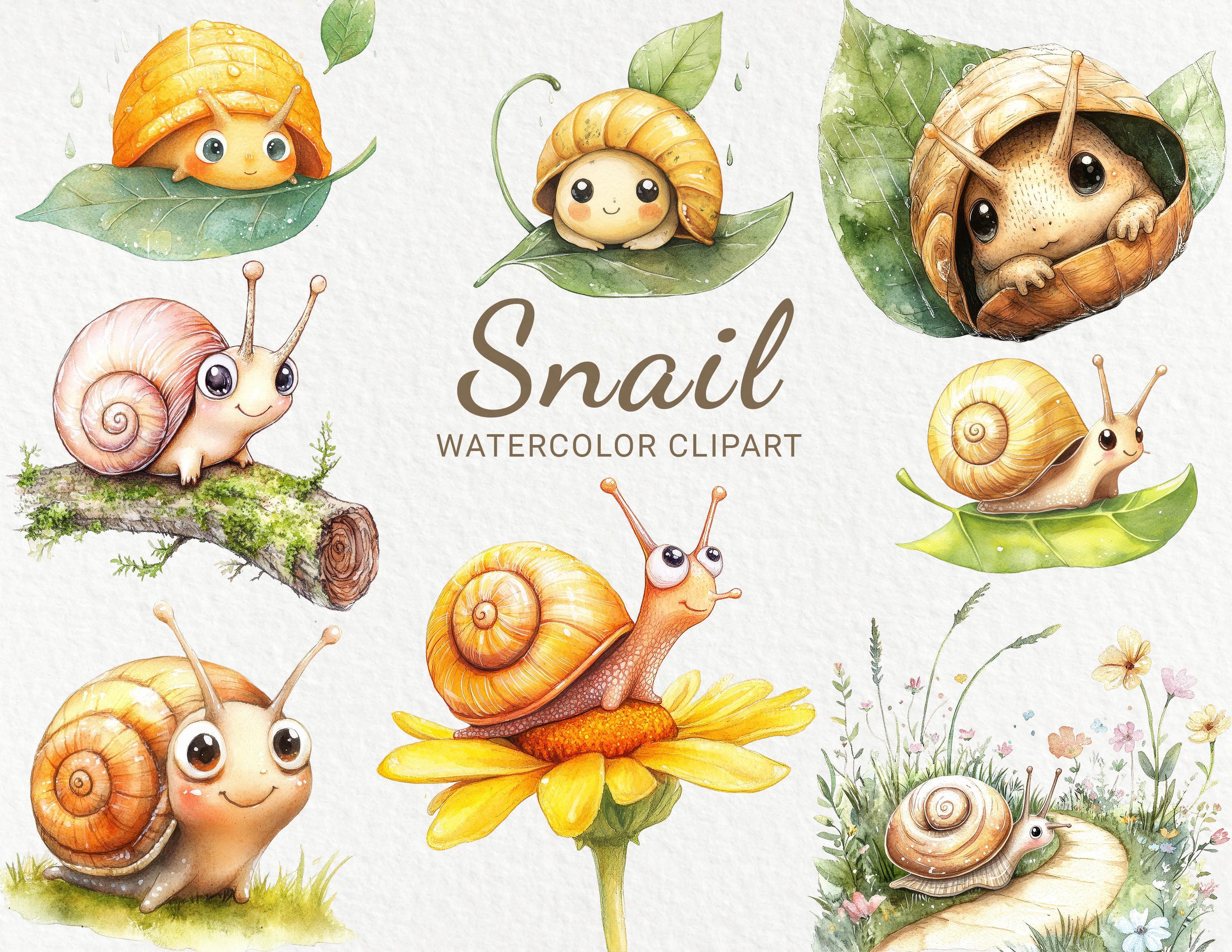 Snail Watercolor Clipart - 24 PNG Cute Snail Clip Art, Nature Clipart ...