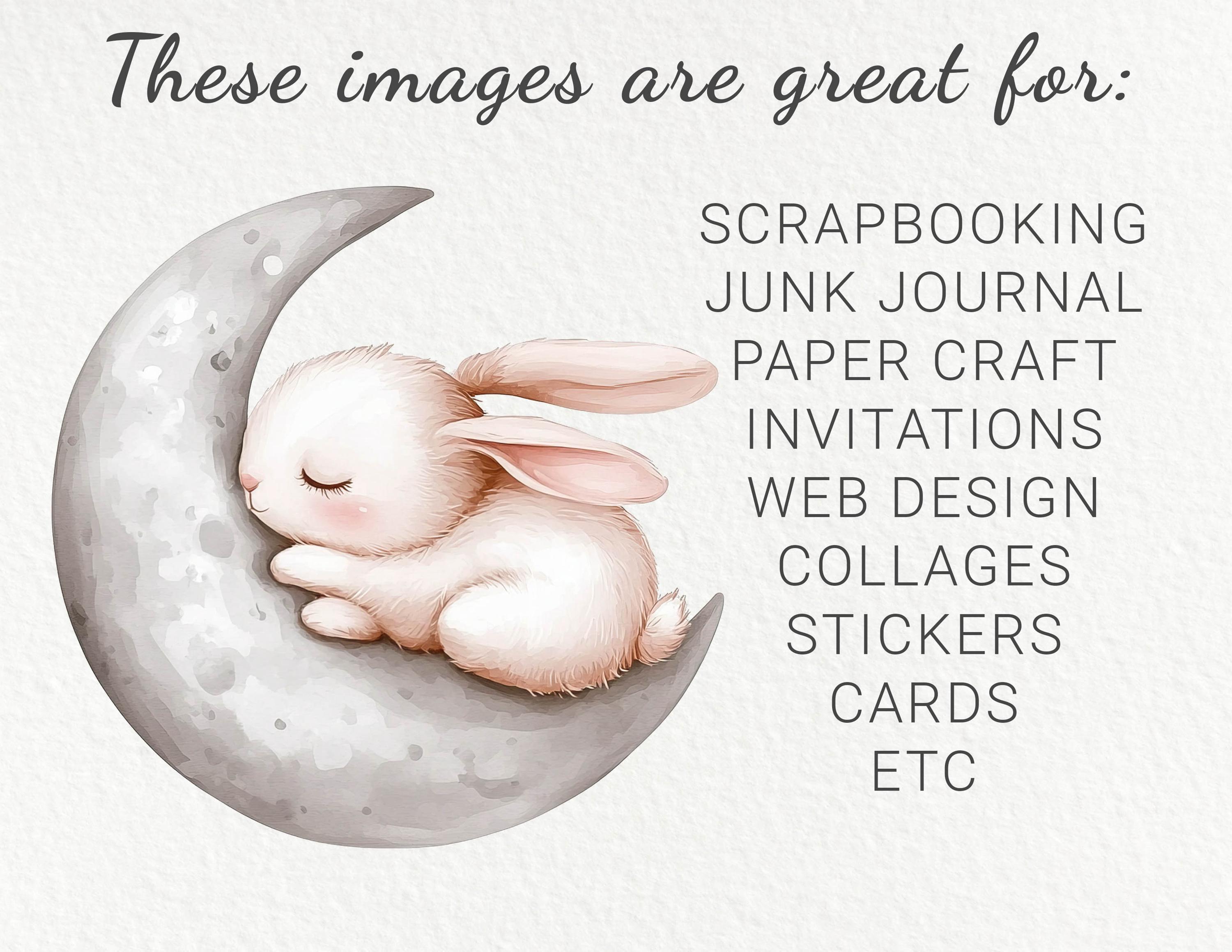 Pink Bunny Nursery Watercolor Clipart - 24 PNG Cute Fairy Animals ...