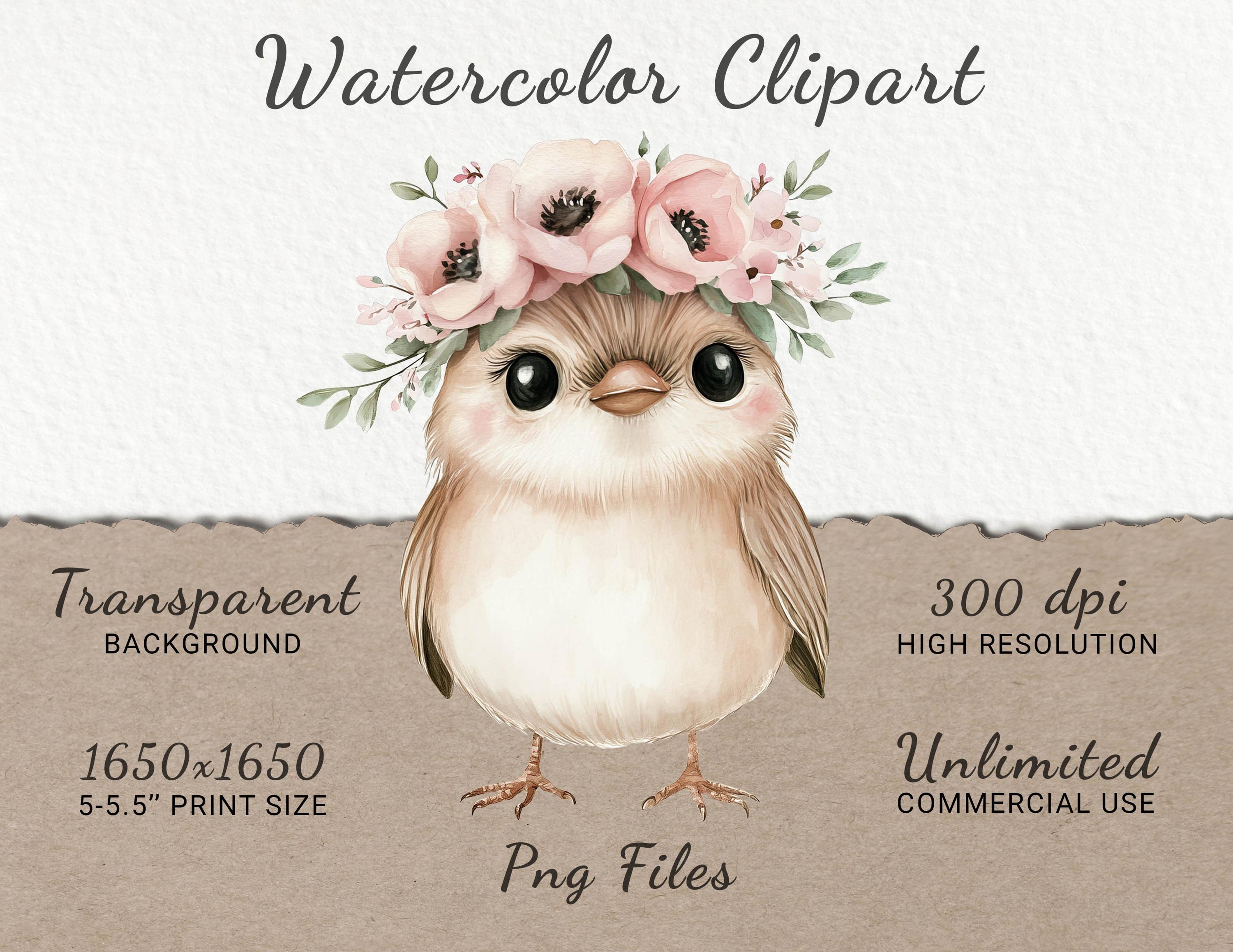 Pink Birds Nursery Watercolor Clipart - 24 PNG Cute Fairy Birds ...