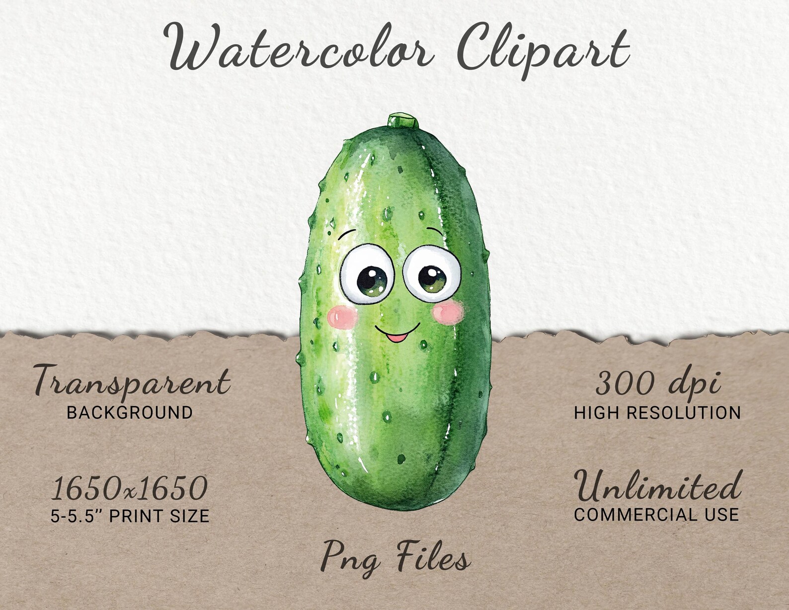 Cucumber Watercolor Clipart - 24 PNG Funny Cucumber Illustration, Cool ...