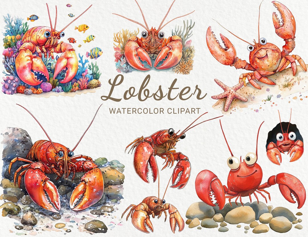 Lobster Watercolor Clipart – 24 PNG Marine Illustrations (digital ...