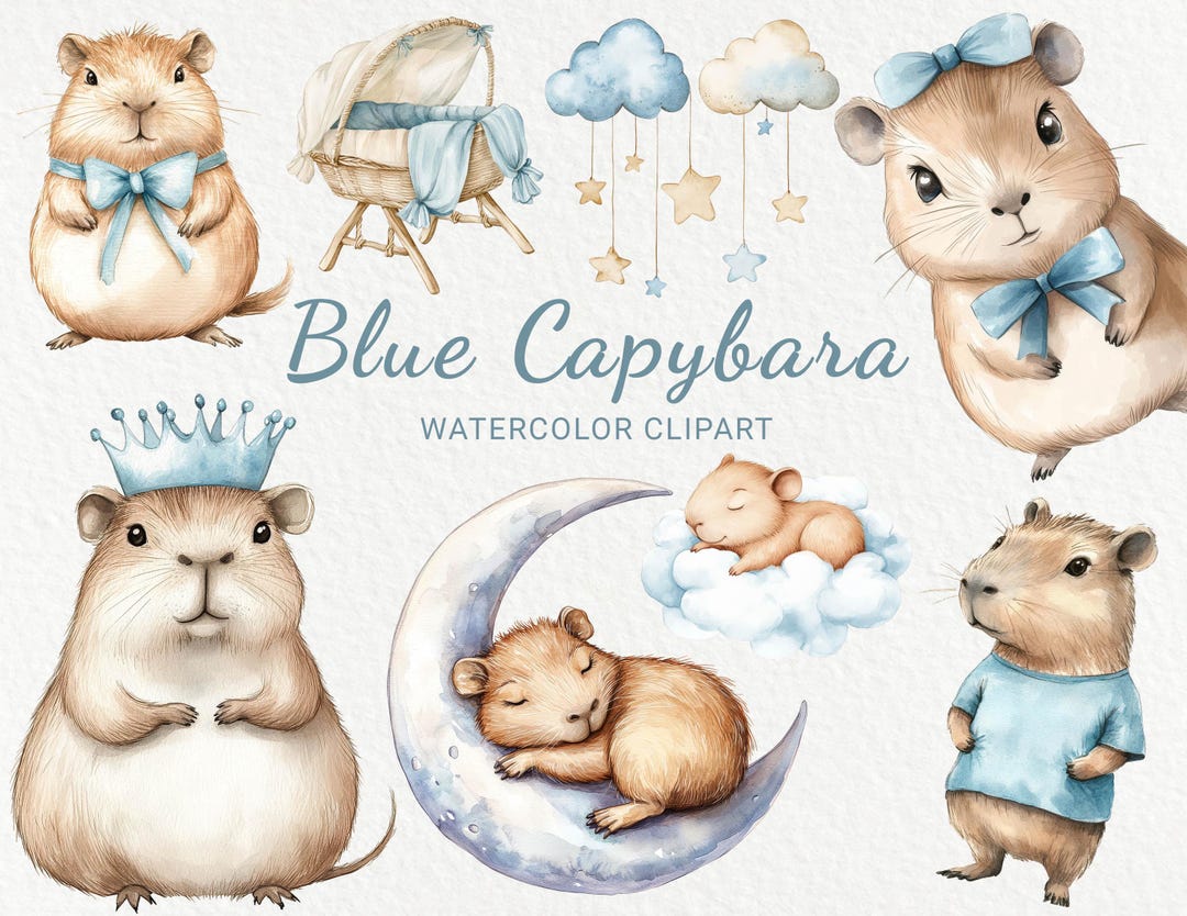Blue Capybara Watercolor Clipart – Nursery Decor, Baby Shower (digital ...