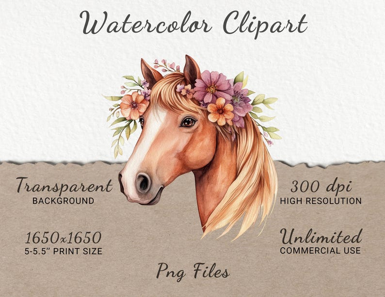 Horse Watercolor Clipart - 24 PNG Cute Animal Clip Art, Farm Animals ...