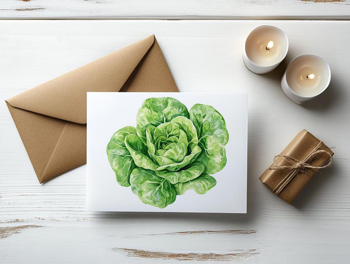 Lettuce Watercolor Clipart - 24 PNG Funny Lettuce Illustration, Cool ...
