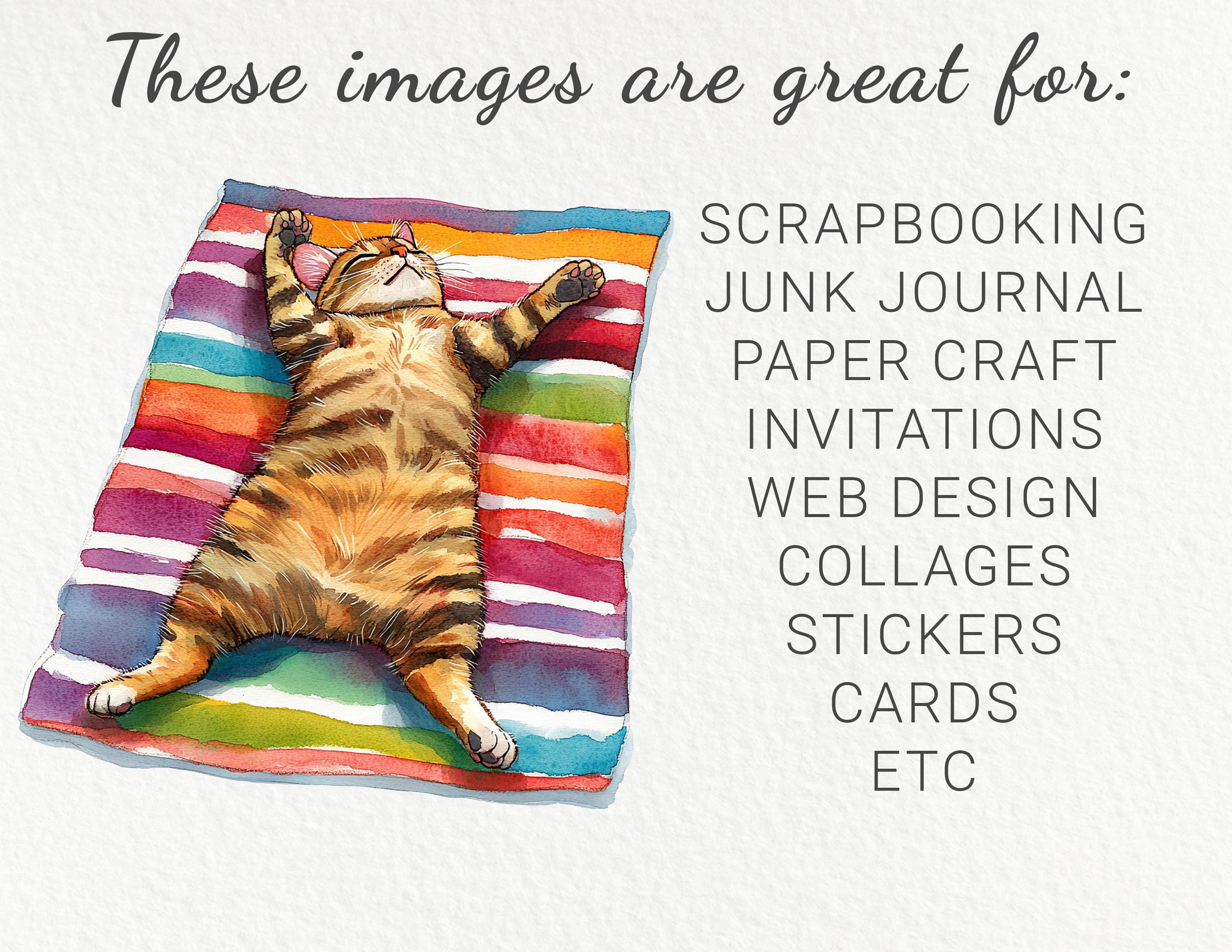 Cat on the Beach Watercolor Clipart - 24 PNG Cute Summer Cat, Room ...
