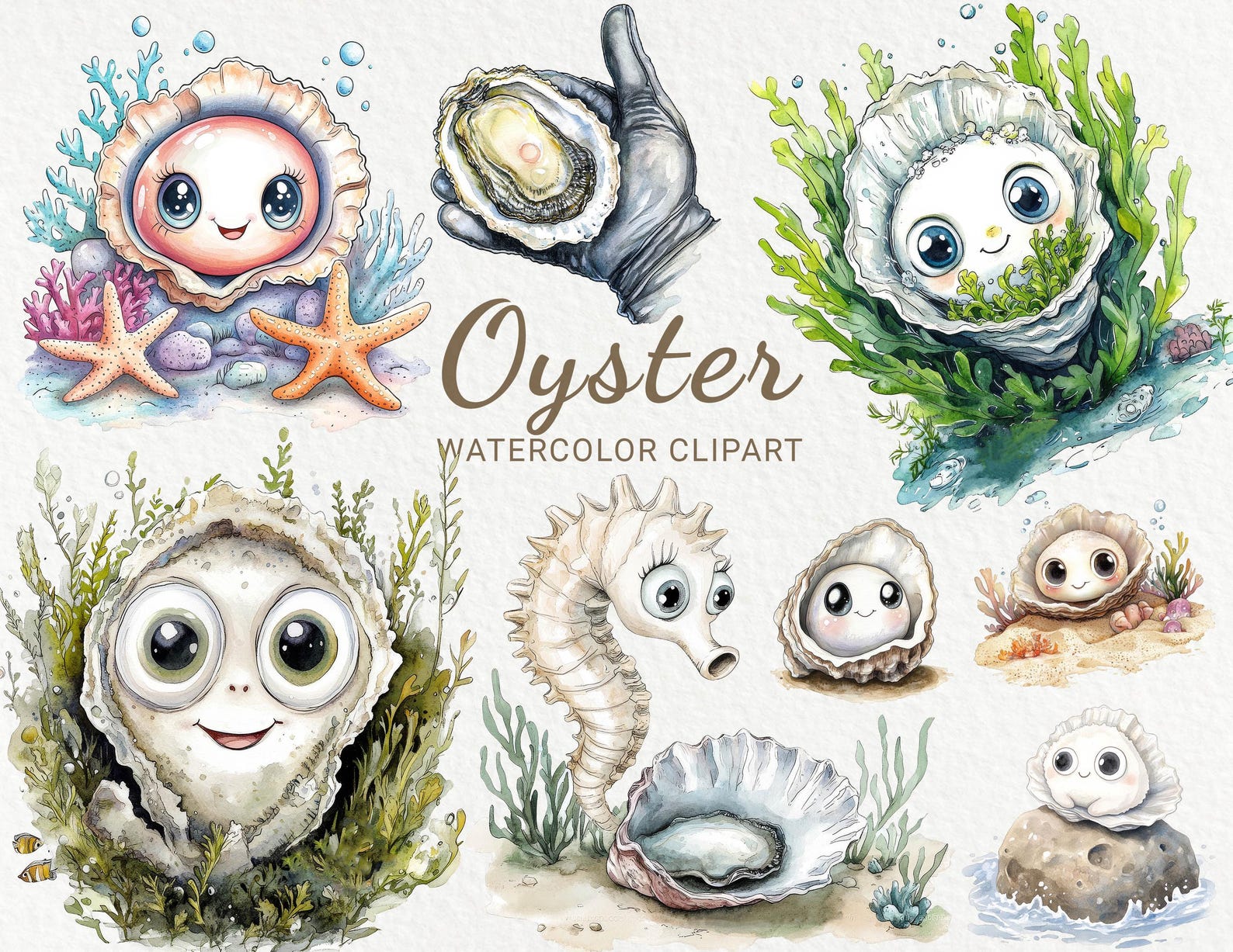 Oyster Watercolor Clipart - 24 PNG Cute Oyster Clip Art, Marine Theme ...