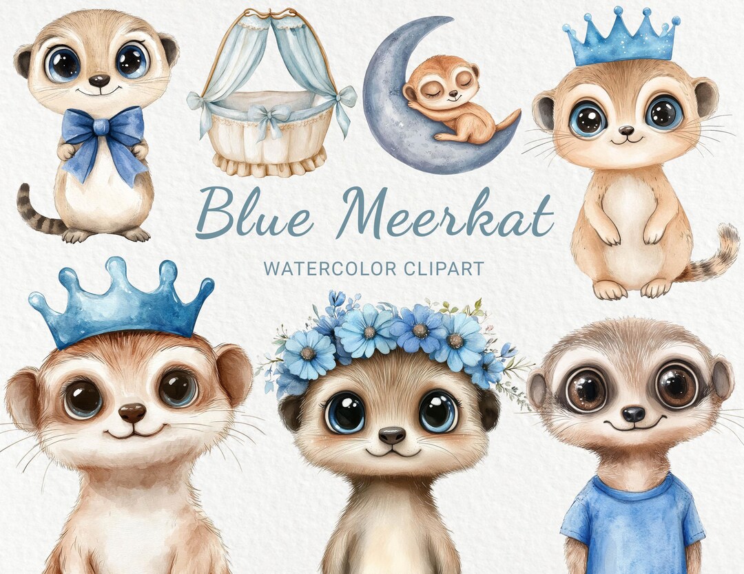 Blue Meerkats Nursery Watercolor Clipart - 24 PNG Animals Decor, Baby ...