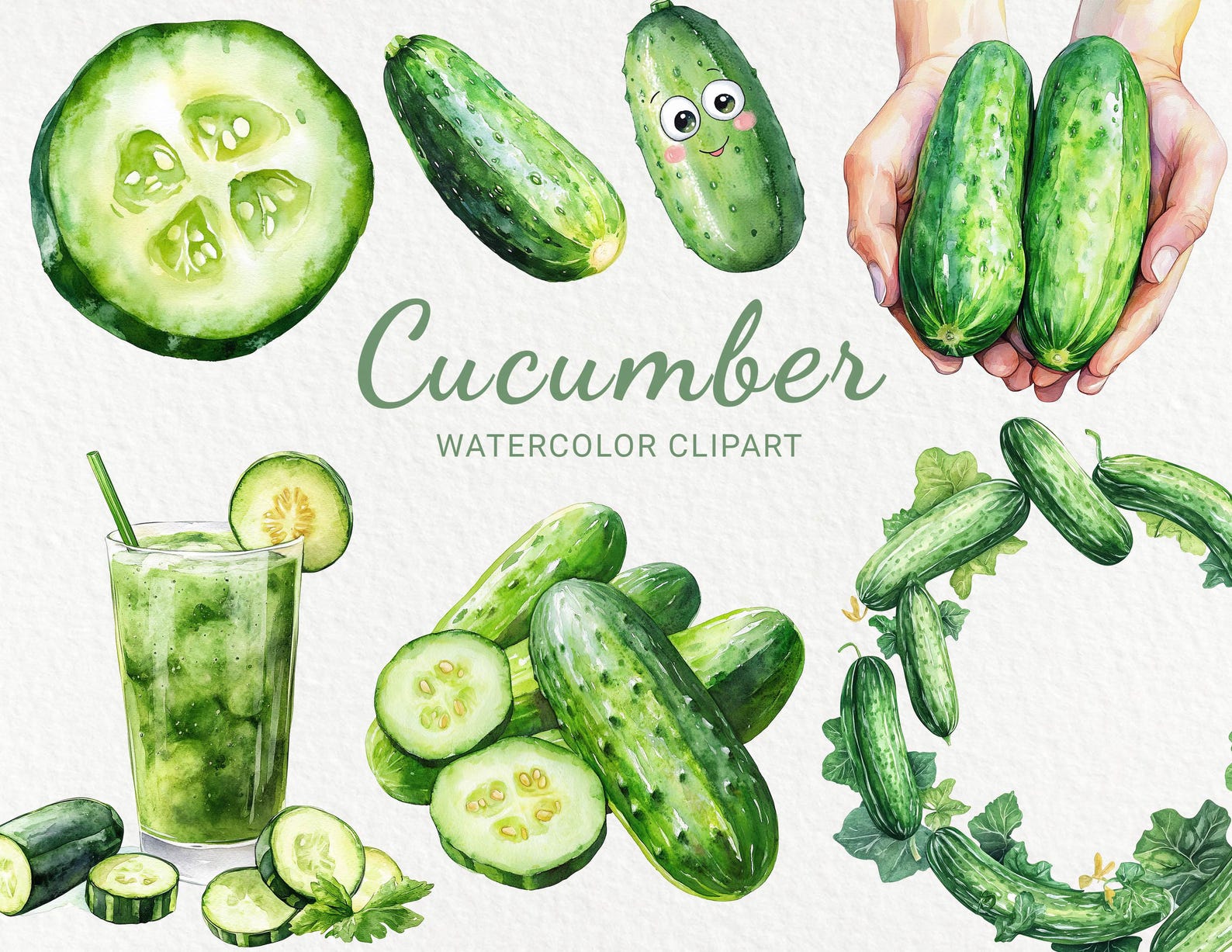 Cucumber Watercolor Clipart - 24 PNG Funny Cucumber Illustration, Cool ...