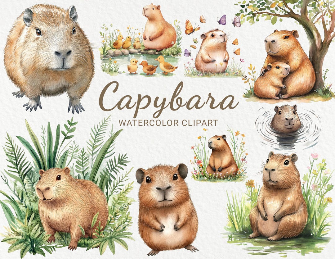 Capybara Watercolor Clipart - 24 PNG Cute Capybara Nursery Decor ...