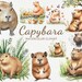 Capybara Watercolor Clipart - 24 PNG Cute Capybara Nursery Decor ...