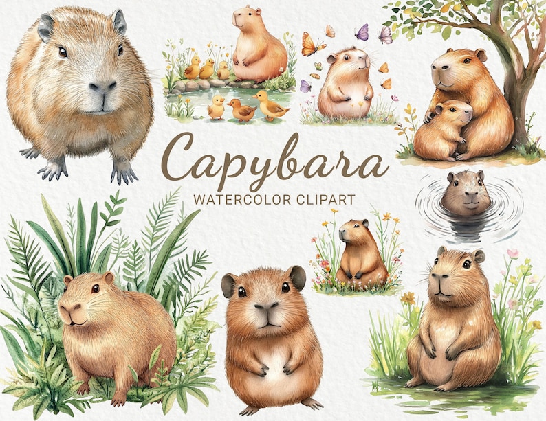 Capybara Watercolor Clipart - 24 PNG Cute Capybara Nursery Decor ...