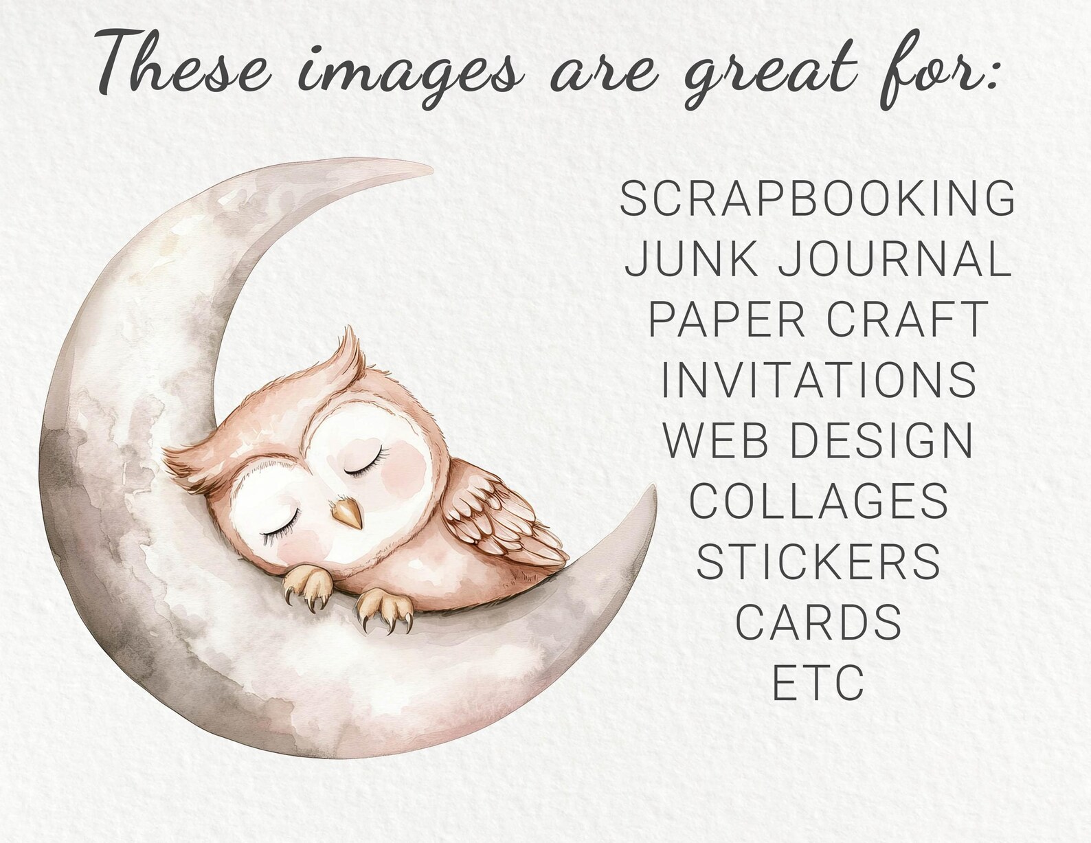 Pink Owl Nursery Watercolor Clipart - 24 PNG Cute Fairy Bird ...