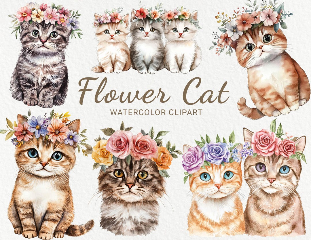 Flower Cat Clipart - 24 PNG Watercolor Floral Kitten Clipart ...
