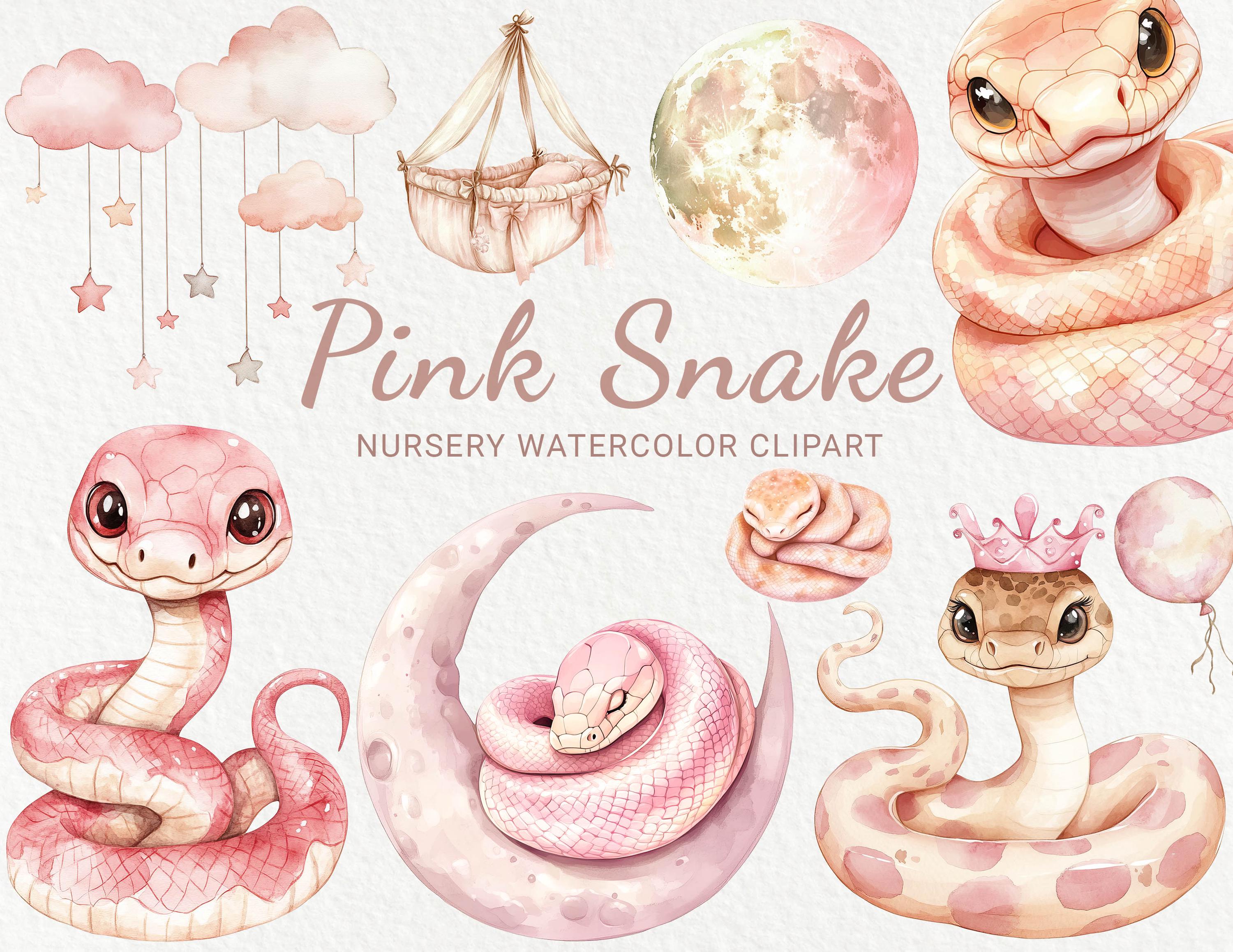 Pink Snake Nursery Watercolor Clipart - 24 PNG Cute Snake, Animals ...