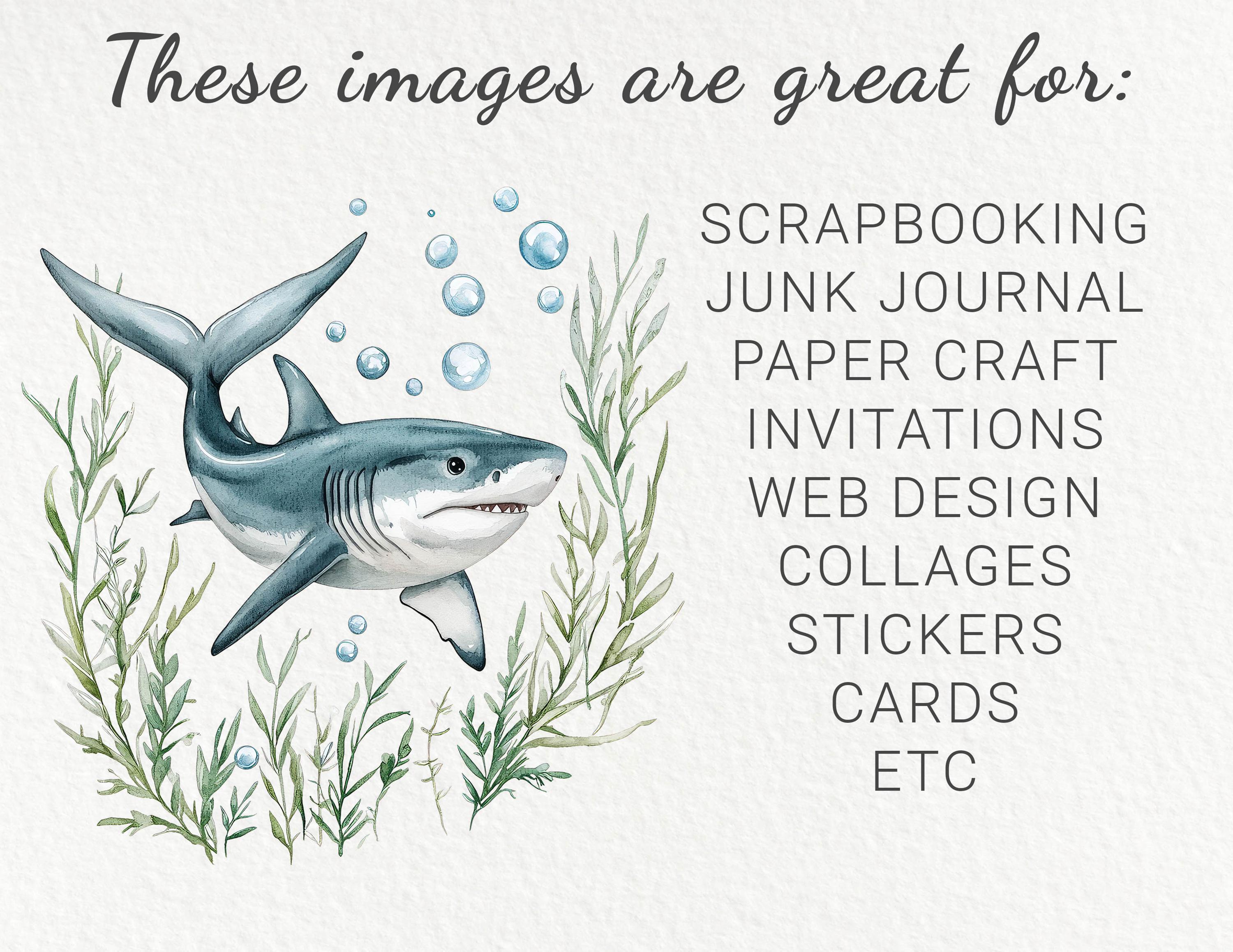 Watercolor Baby Shark Clipart: 24 PNG Nursery Images (digital Download ...