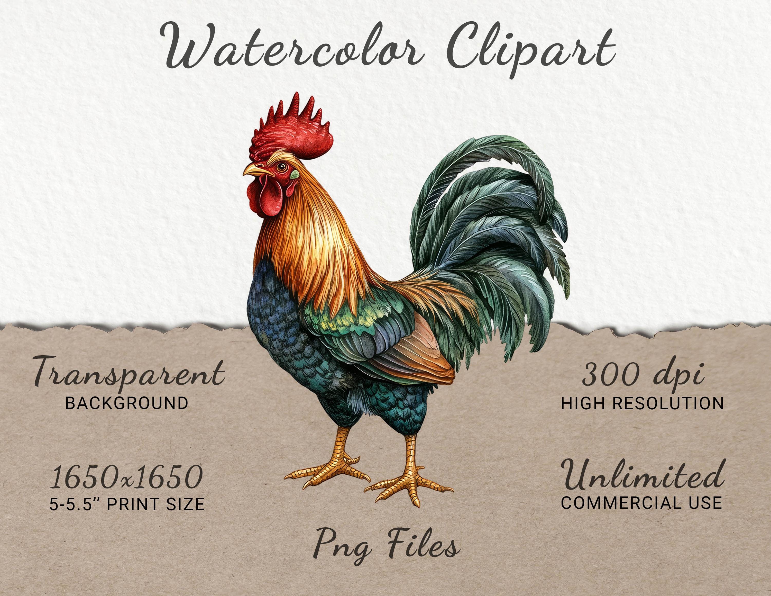 Chicken Watercolor Clipart - 24 PNG Cute Hen Clip Art, Farm Birds ...