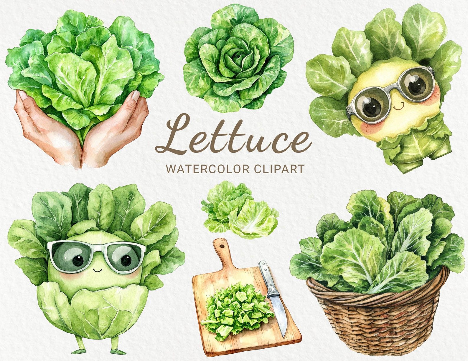 Lettuce Watercolor Clipart - 24 PNG Funny Lettuce Illustration, Cool ...