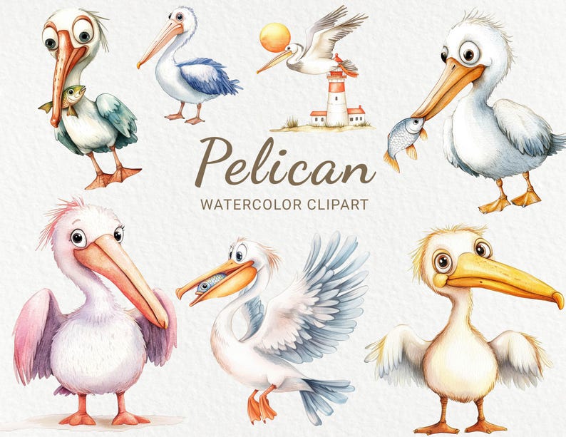 Pelican Watercolor Clipart - 24 PNG Pelican Clip Art, Sea Printable ...