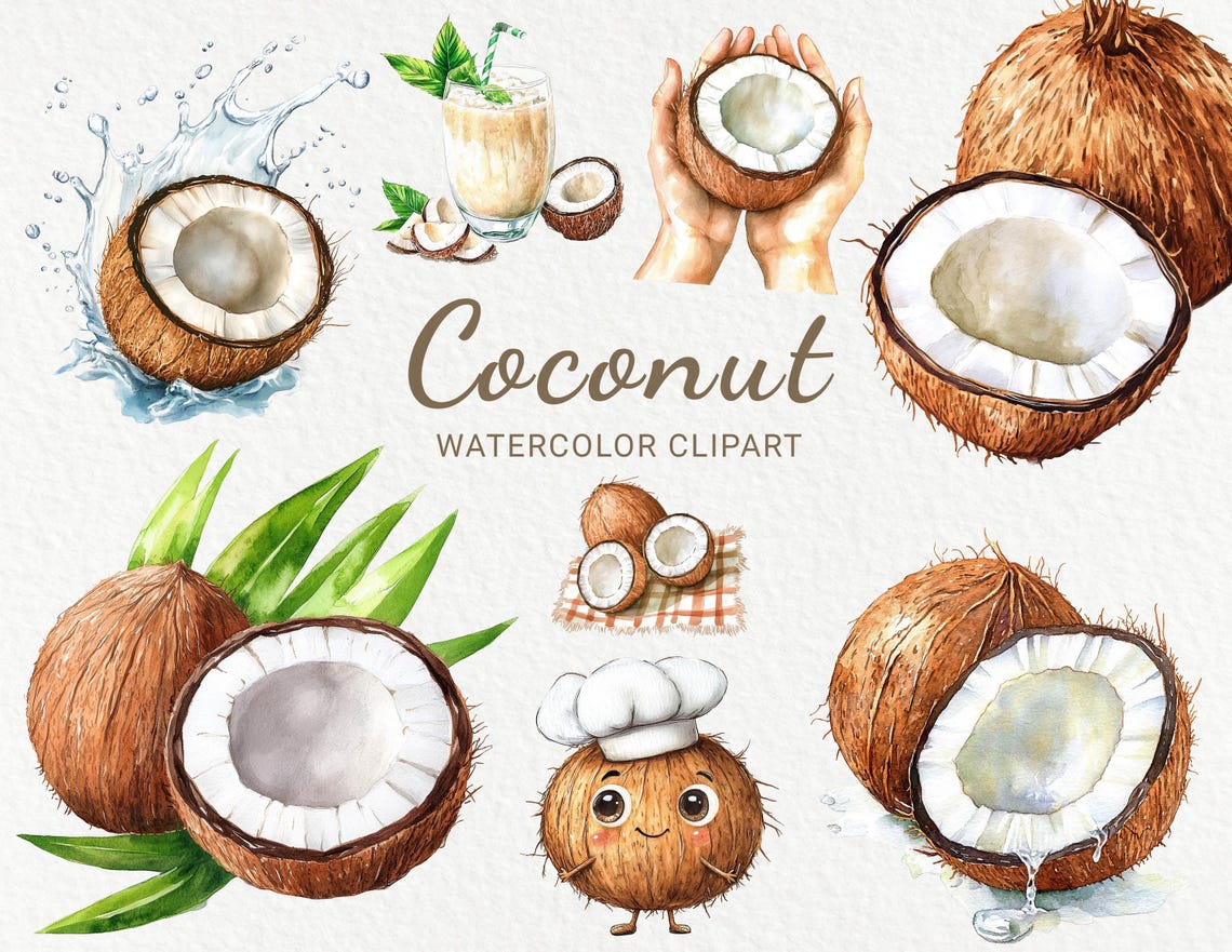 Coconut Watercolor Clipart - 24 PNG Funny Coconut Images, Illustration ...