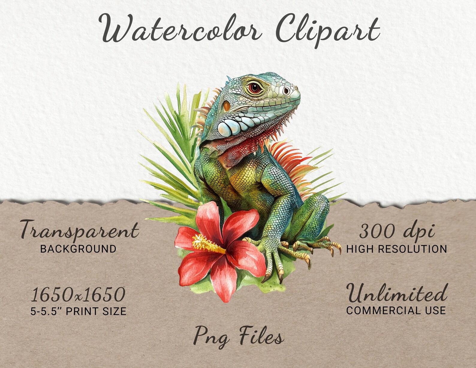 Iguana Clipart - 24 PNG Cute Watercolor Lizard Clip Art, Digital Prints ...