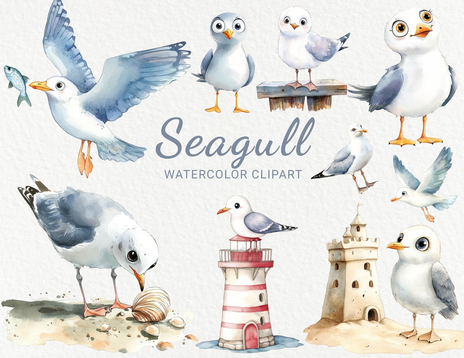 Seagull Watercolor Clipart - 24 PNG Seagull Clip Art, Sea Printable ...